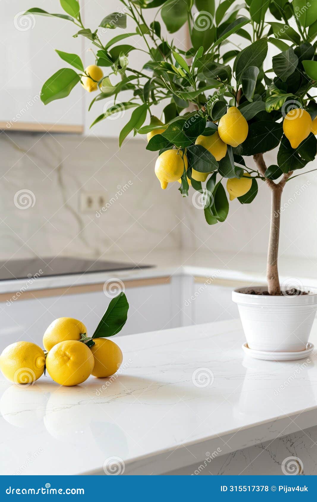 Modern Minimalistic White Kitchen Interior with Quartz Countertop and ...