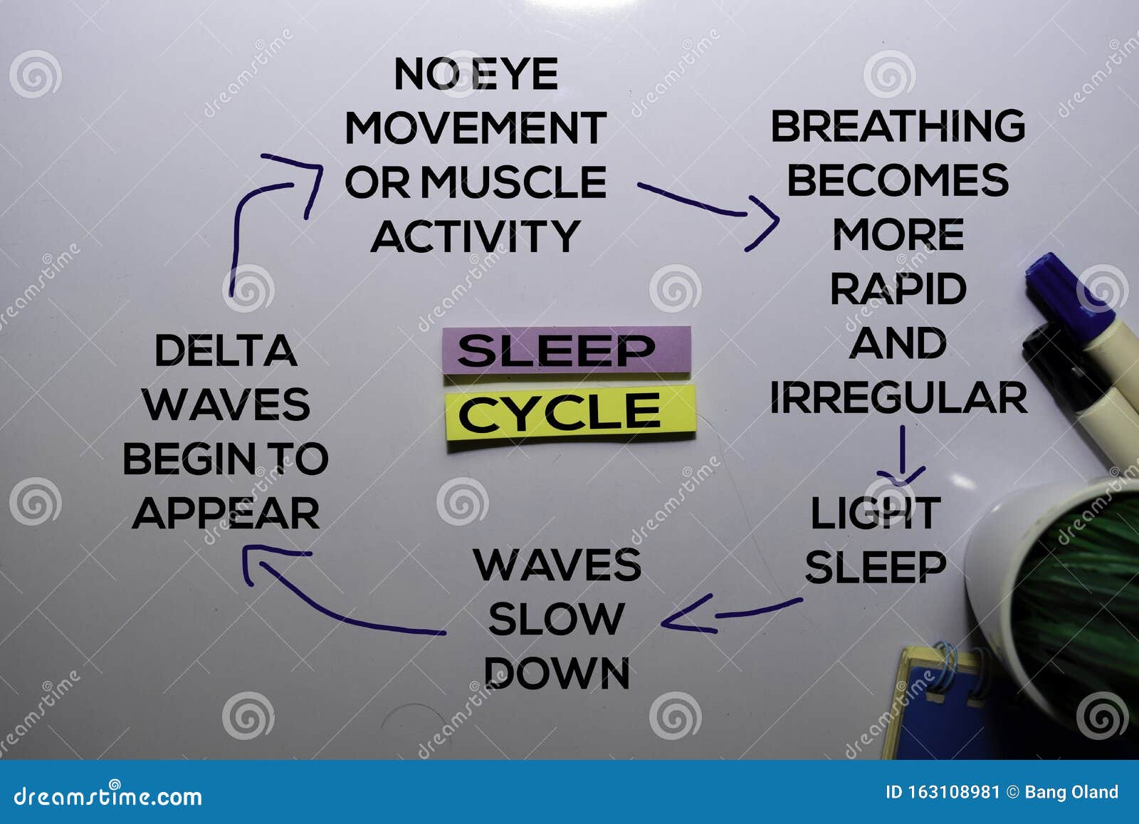 Irregular Sleep Wake Rhythm In Human Brain Royalty-Free Stock ...