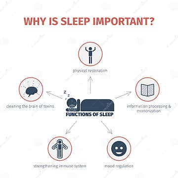 Sleep Infographic. Mind Map Stock Vector - Illustration of blanket ...