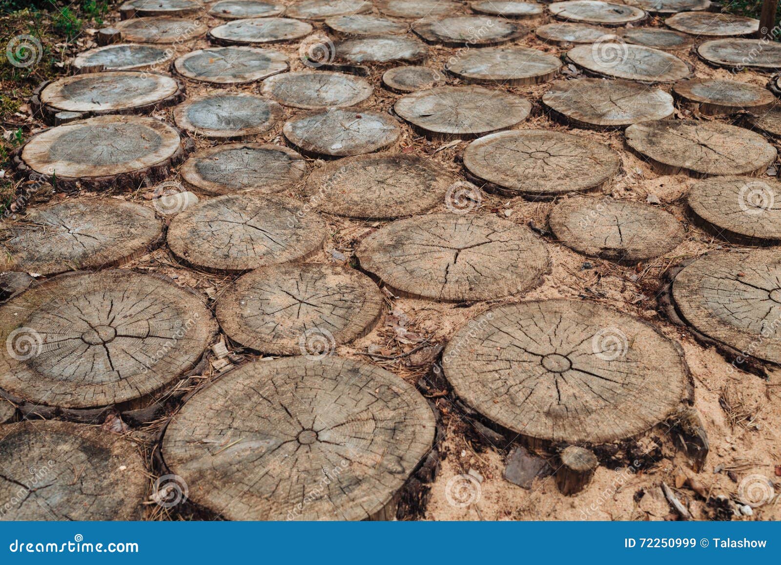 Sleep Van De Stompen Van Felled Bomen Stock Afbeelding - Image of gras ...