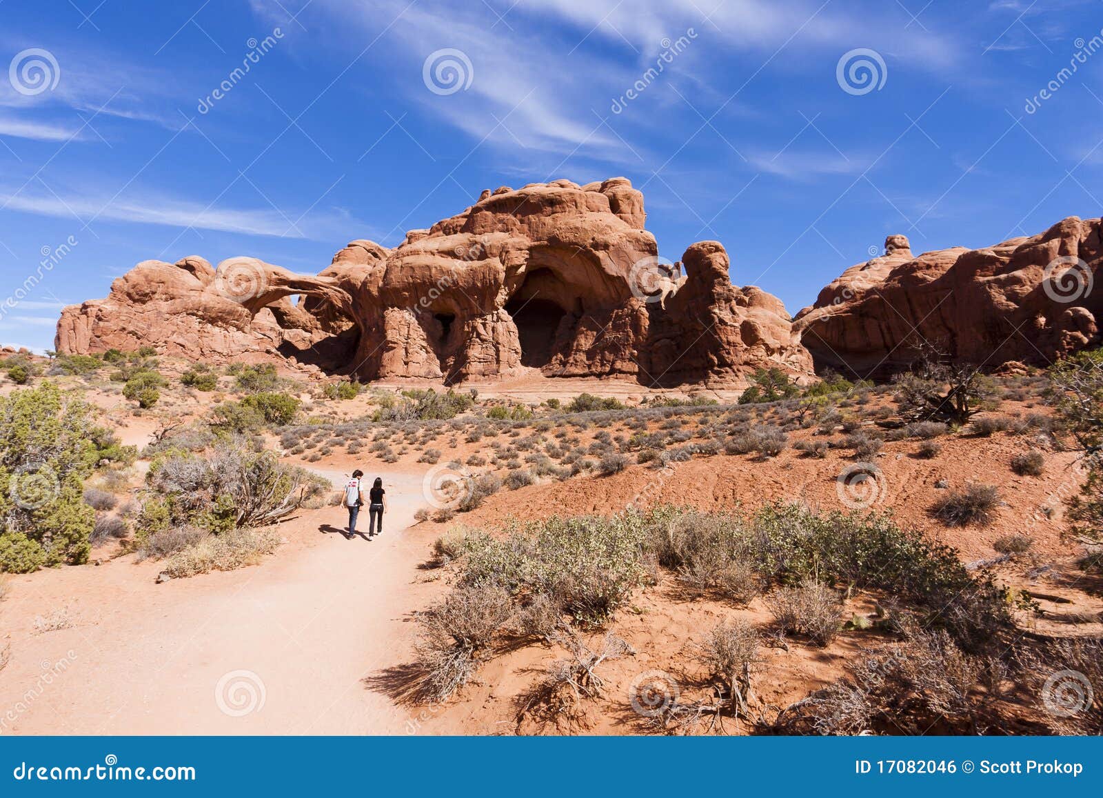 Sleep Van Het Park Van Bogen De Nationale Stock Foto - Image of sleep ...