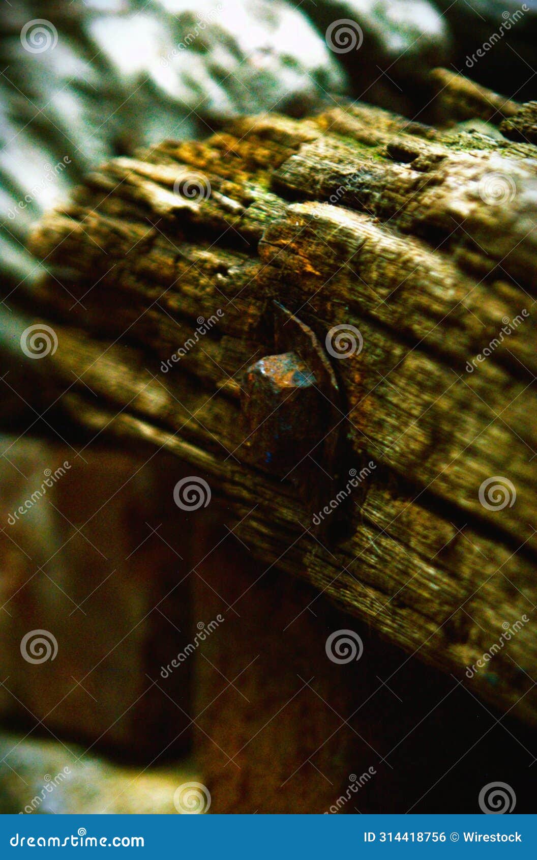 Sleeper and Bolt, nature stock photo. Image of piece - 314418756