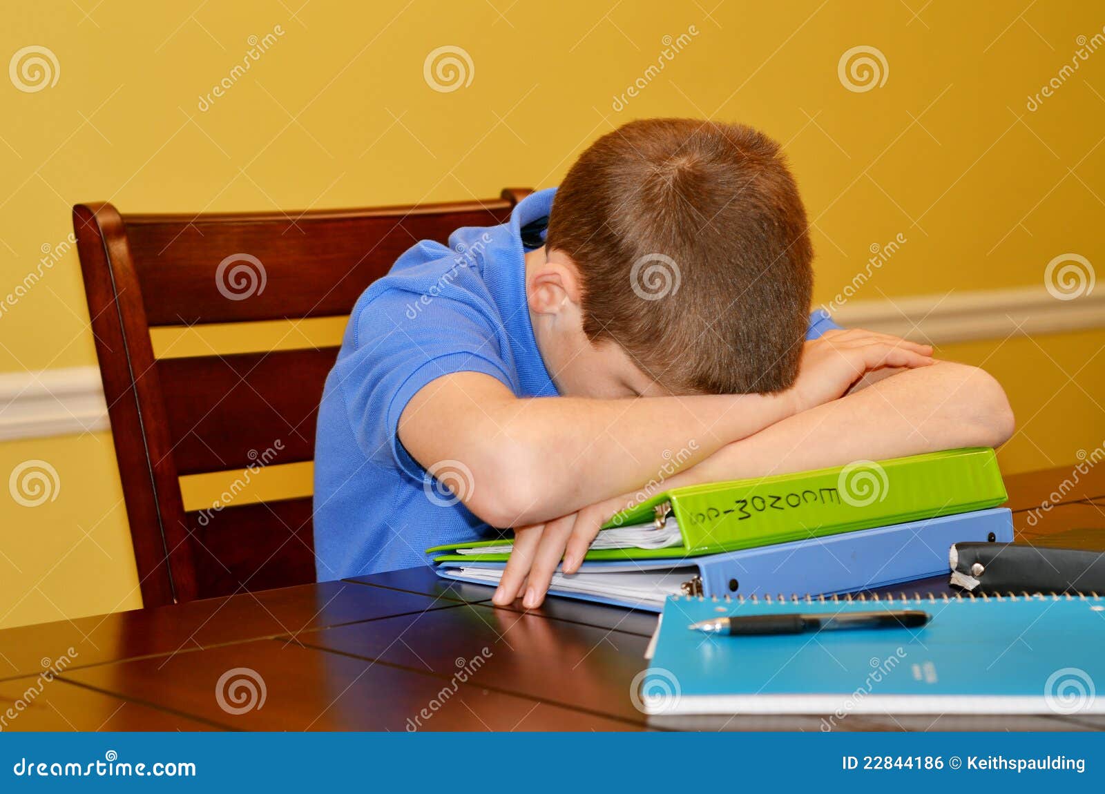 Sleeping stock photo. Image of learning, sitting, concentration - 22844186