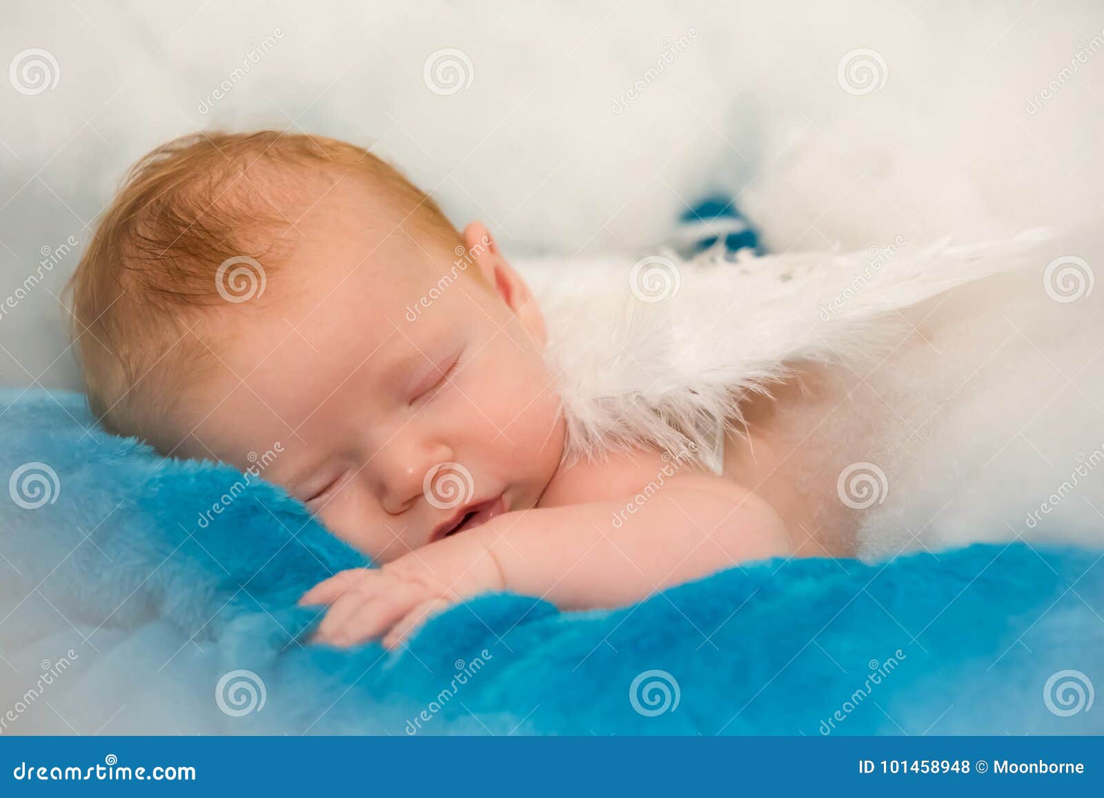 Sleeping Angel stock photo. Image of adorable, healthy - 101458948
