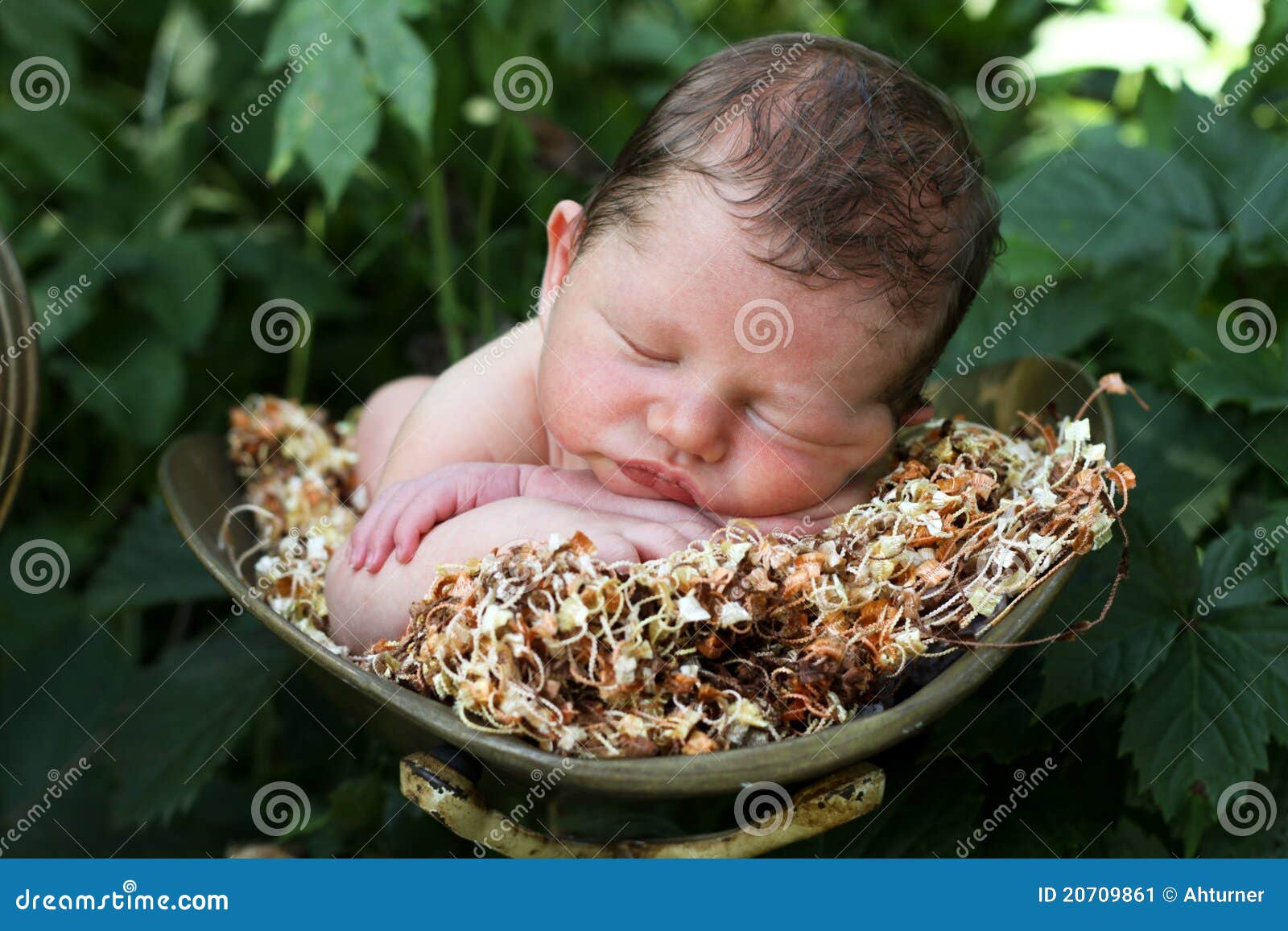 Sleeping baby outside stock image. Image of infant, chubby - 20709861