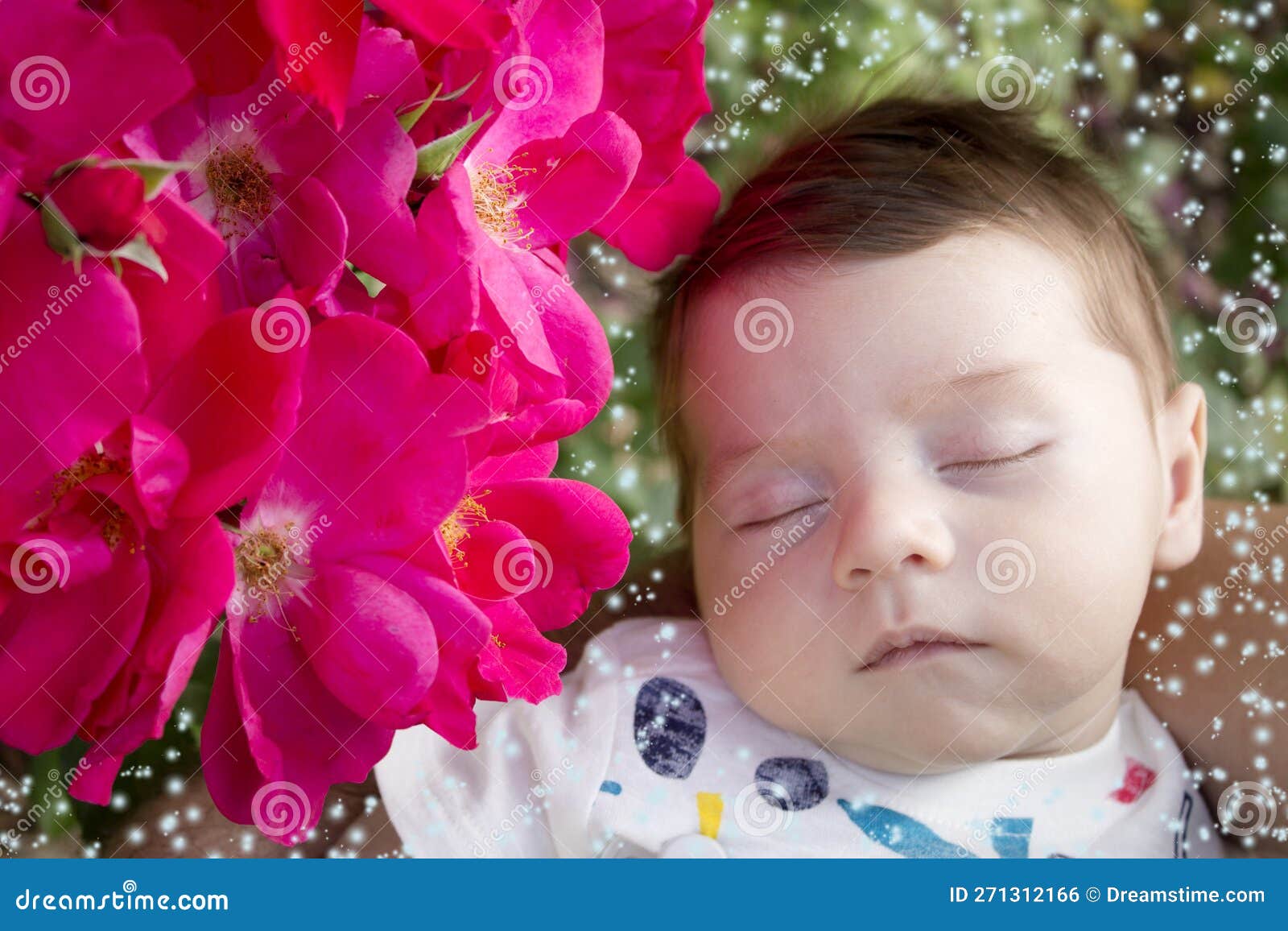 Sleeping Baby Surrounded by Pink Flowers Stock Photo - Image of ...