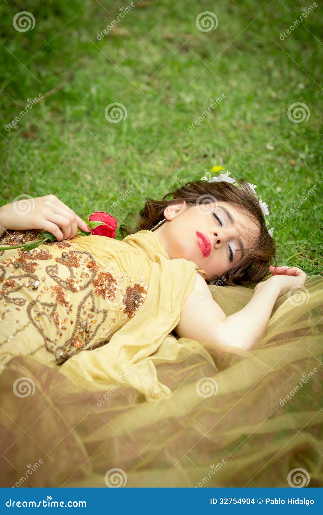 SLEEPING BEAUTY Lying on the Forrest with a Rose Stock Photo - Image of ...