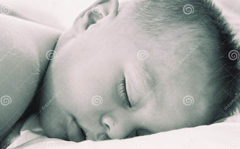 Sleeping boy stock photo. Image of closeup, peace, black - 20942