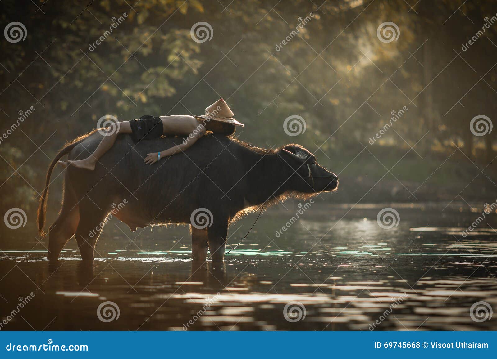 Sleeping stock photo. Image of beautiful, hair, beauty - 69745668