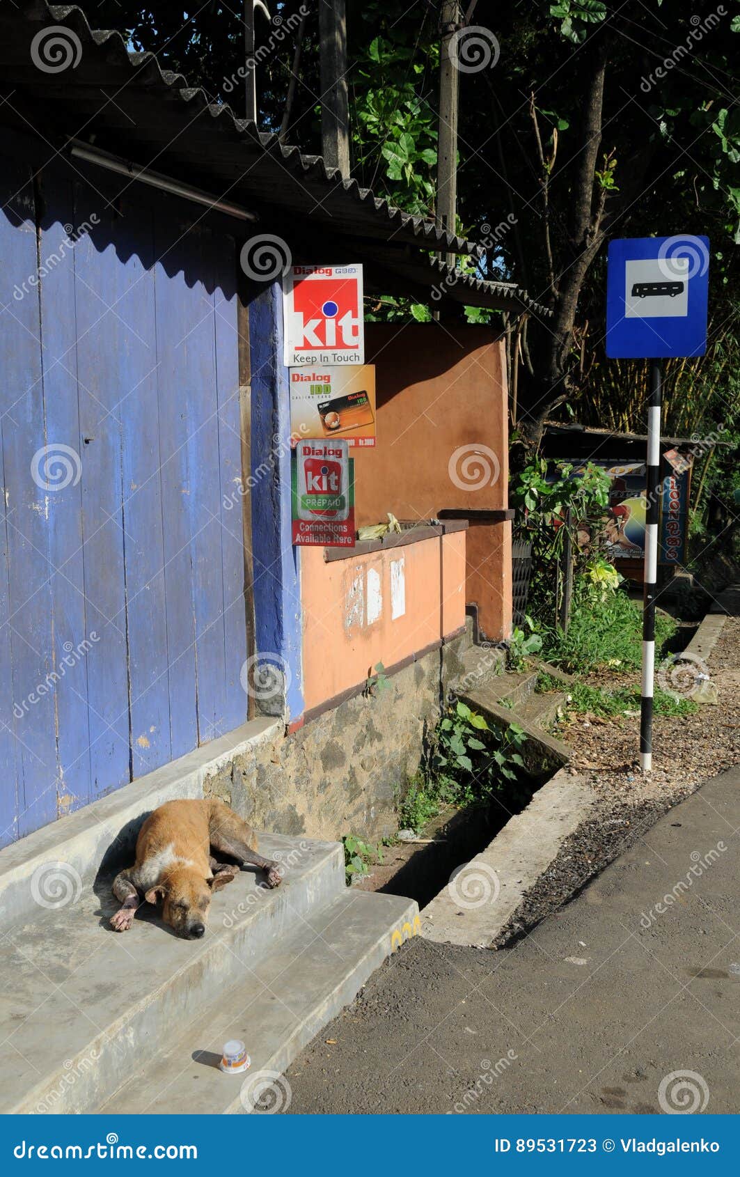 Sleeping at the Bus Stop Dog. Editorial Stock Photo - Image of sign ...