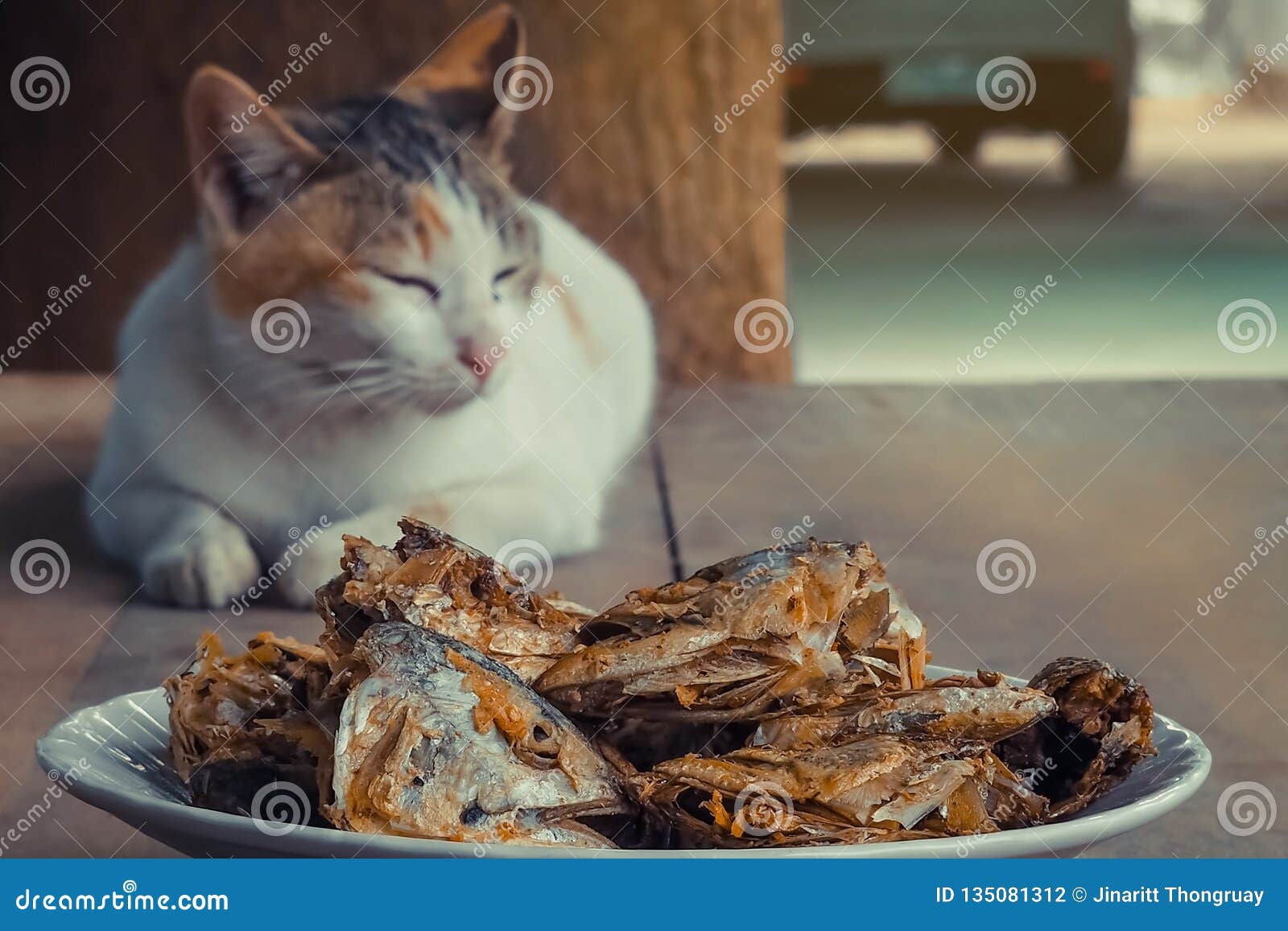 Sleeping Cat Watch Deep Fried Fish Head. Selective Focus on the Stock ...