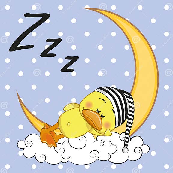 Sleeping Duck stock vector. Illustration of blanket, cute - 52352690