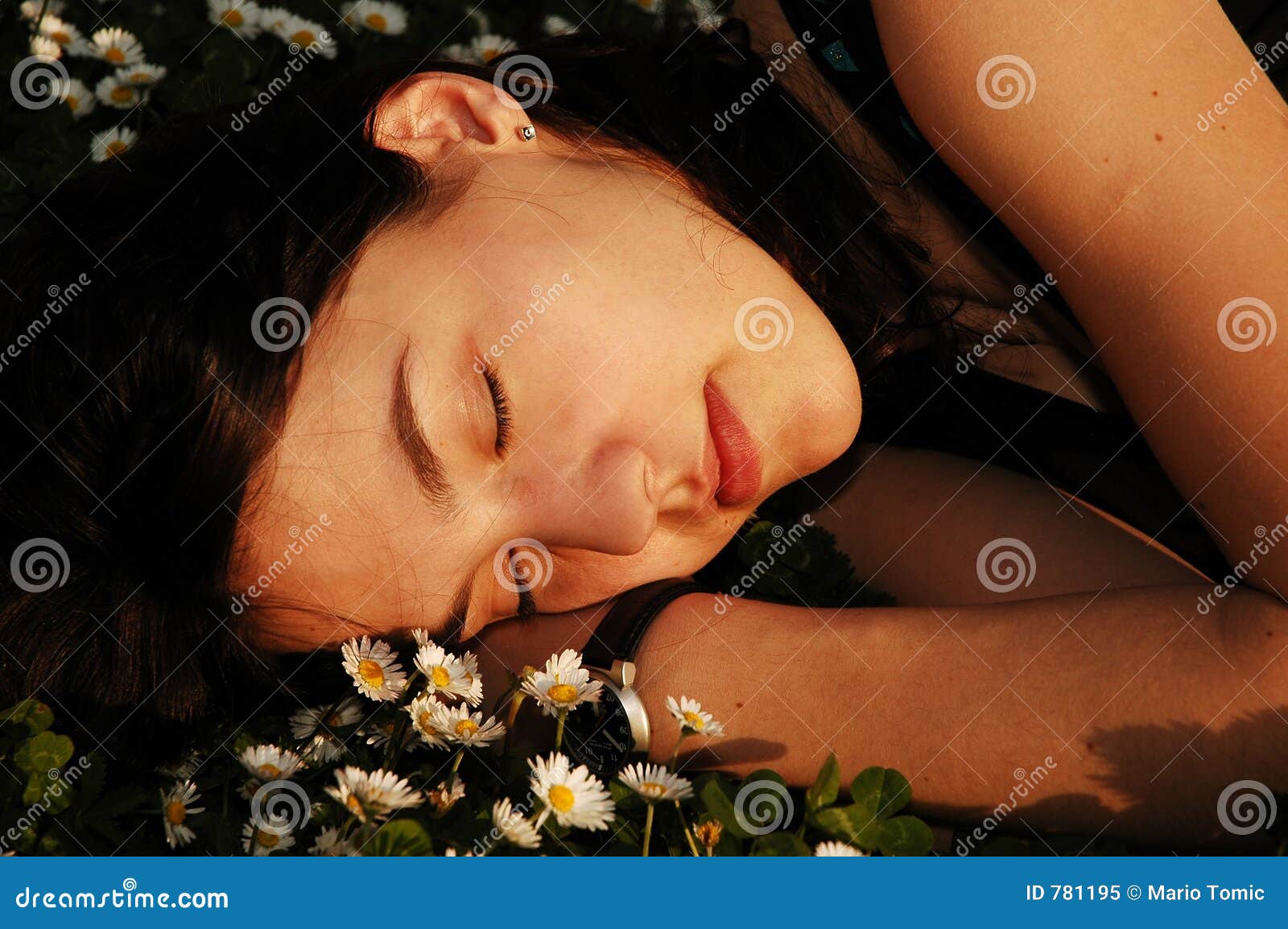 Sleeping the flowers 5 stock image. Image of blue, beauty - 781195