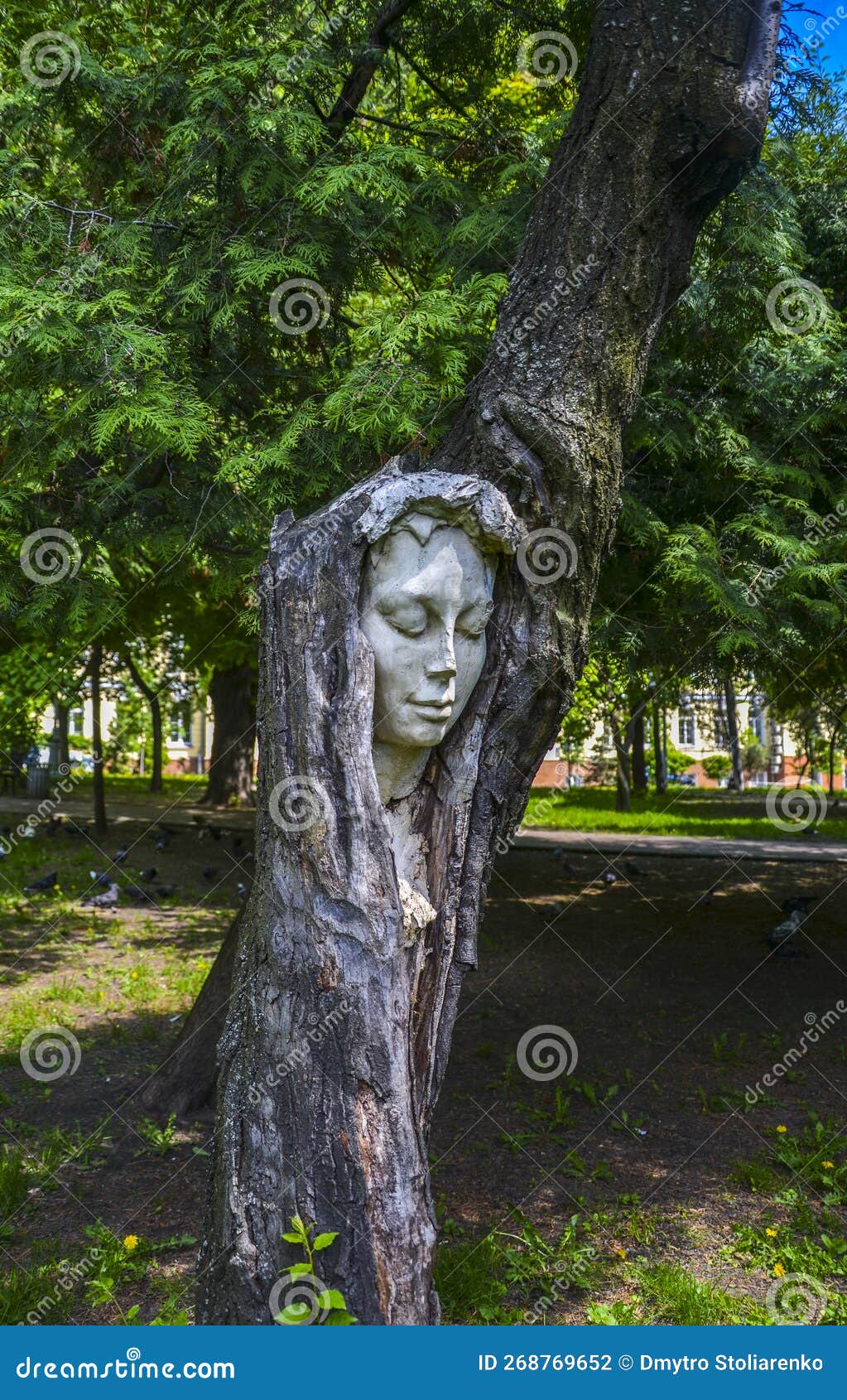 Sleeping Forest Mermaid in a Tree Waiting for Spring Stock Photo ...
