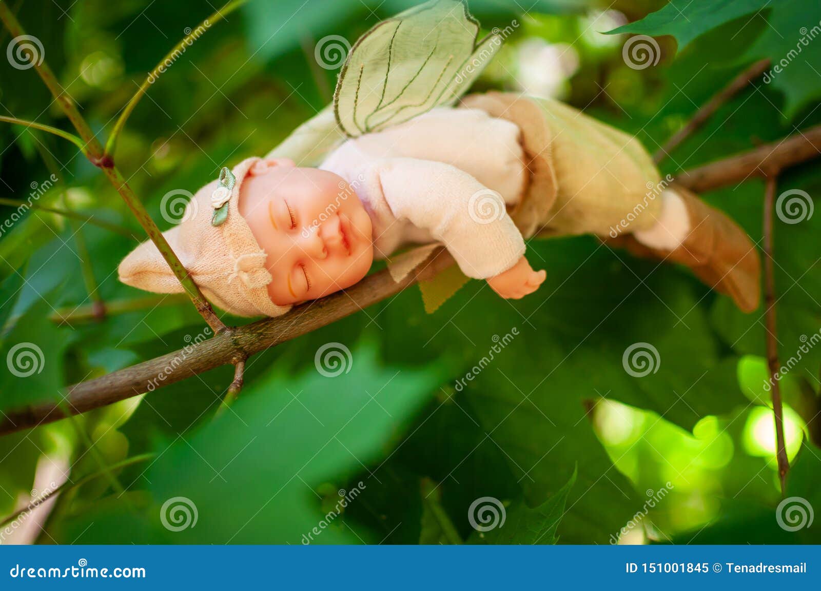 Sleeping Garden Baby Elf II Stock Image - Image of forest, green: 151001845