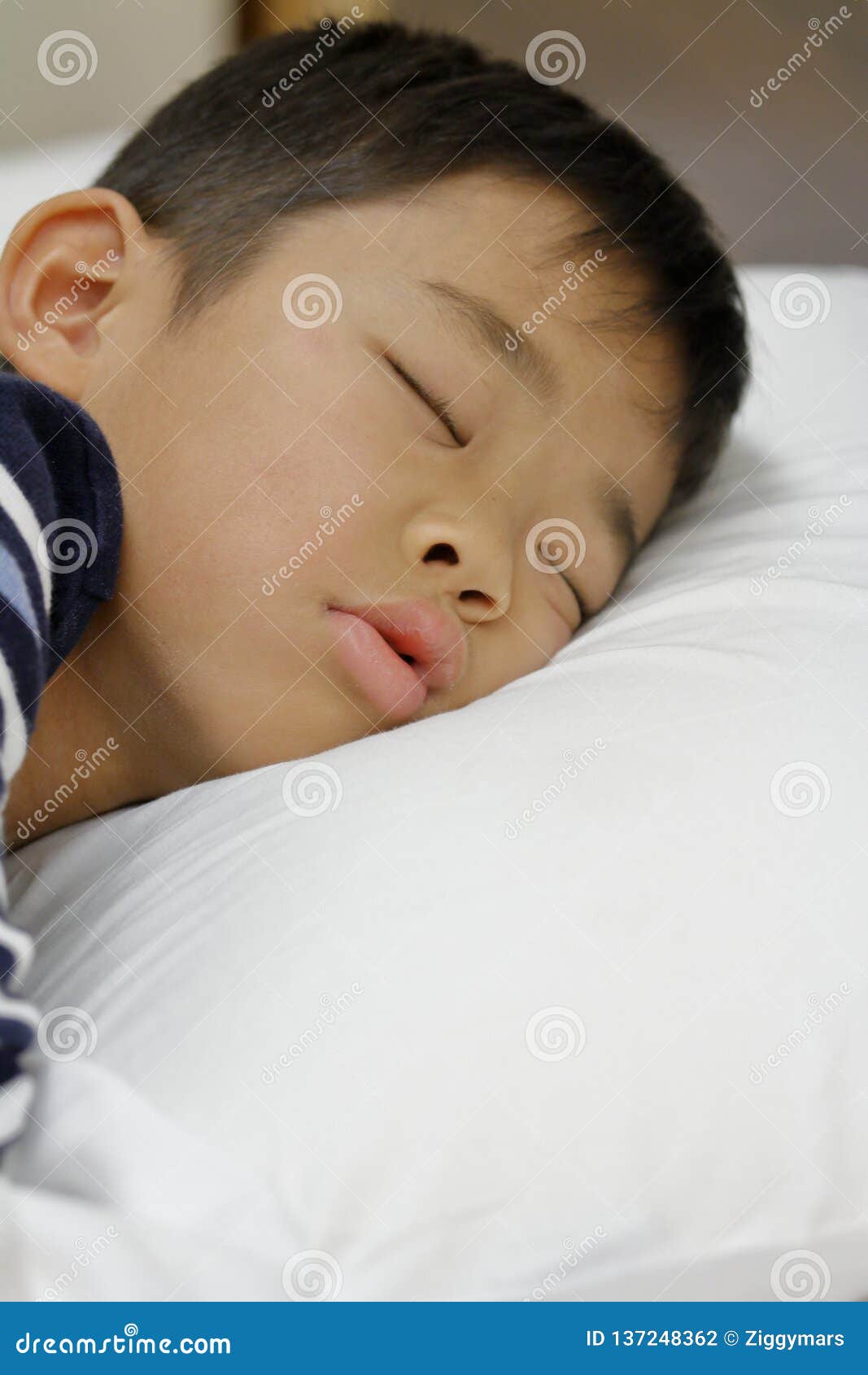 Sleeping Japanese boy stock photo. Image of napping - 137248362