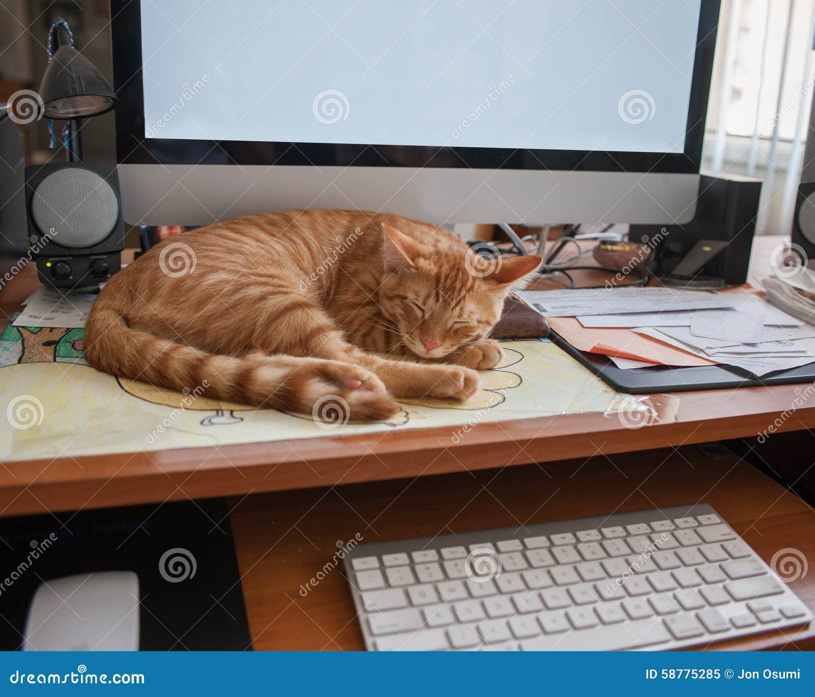 Sleeping on the job stock image. Image of sleeping, comfortable - 58775285
