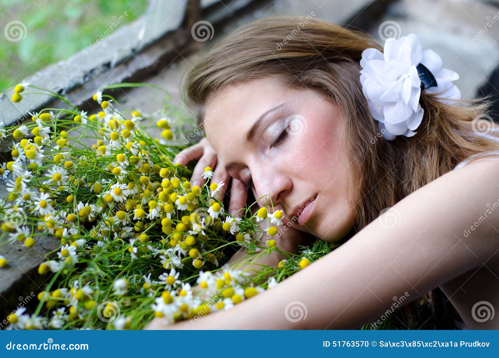 Sleeping Lady with Chamomile Bouquet in Spring Stock Photo - Image of ...