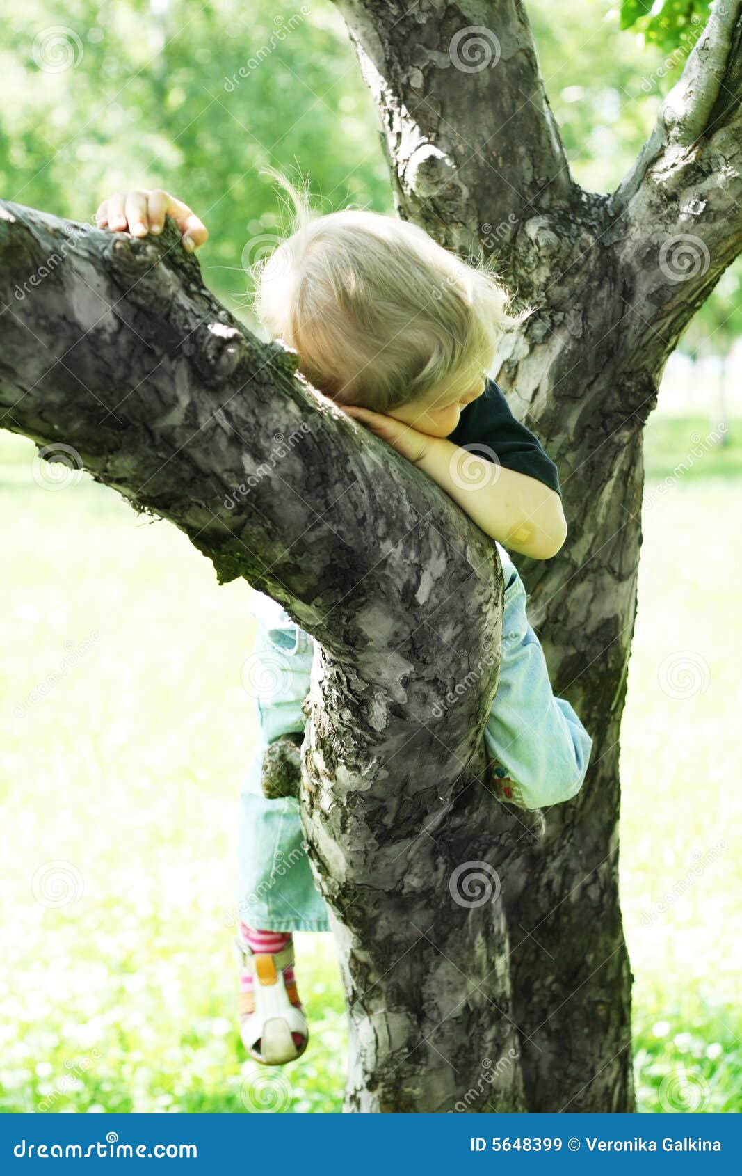 Sleeping little kid stock image. Image of tree, infant - 5648399