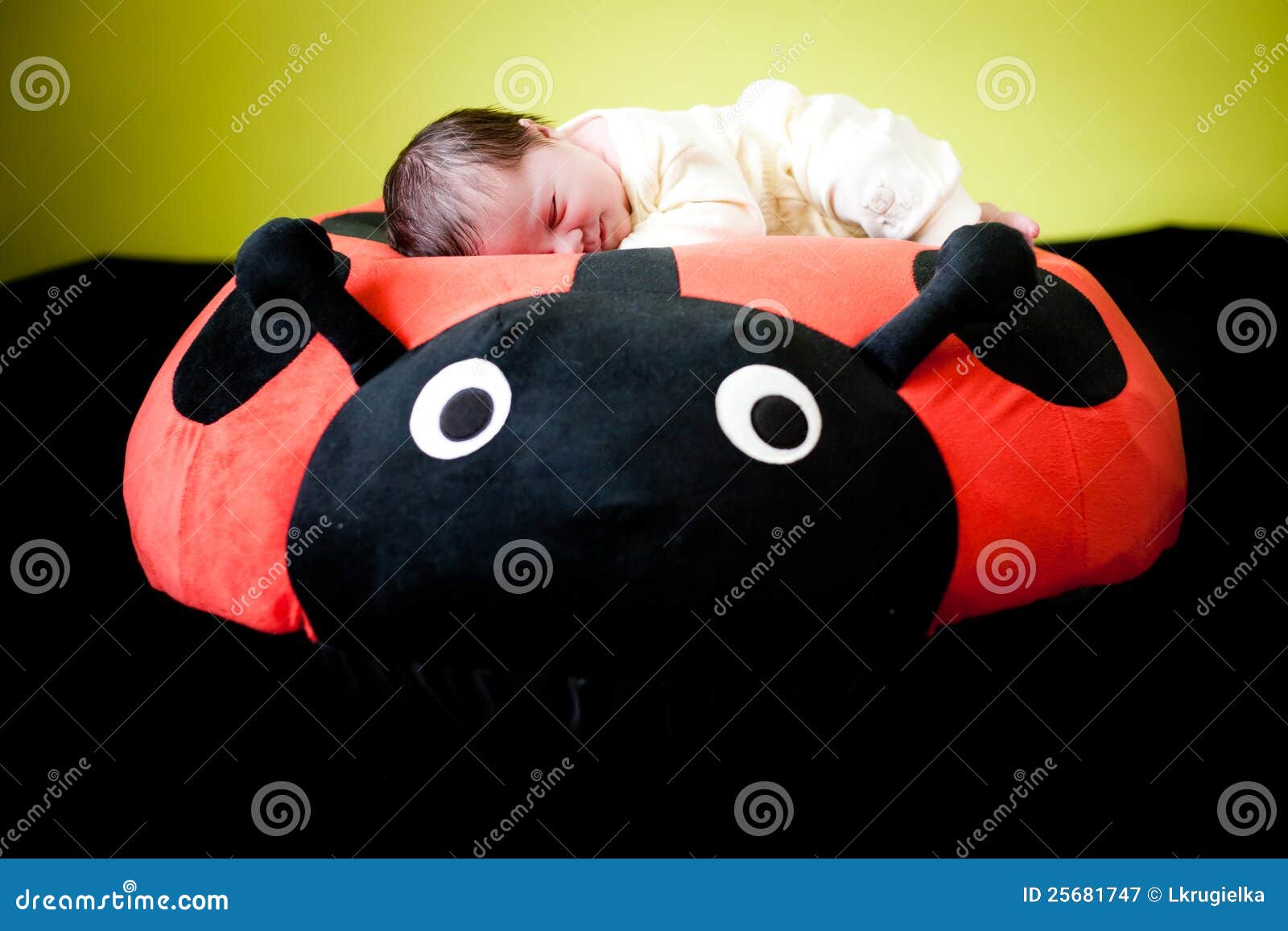 565 Baby Ladybird Stock Photos - Free & Royalty-Free Stock Photos from ...