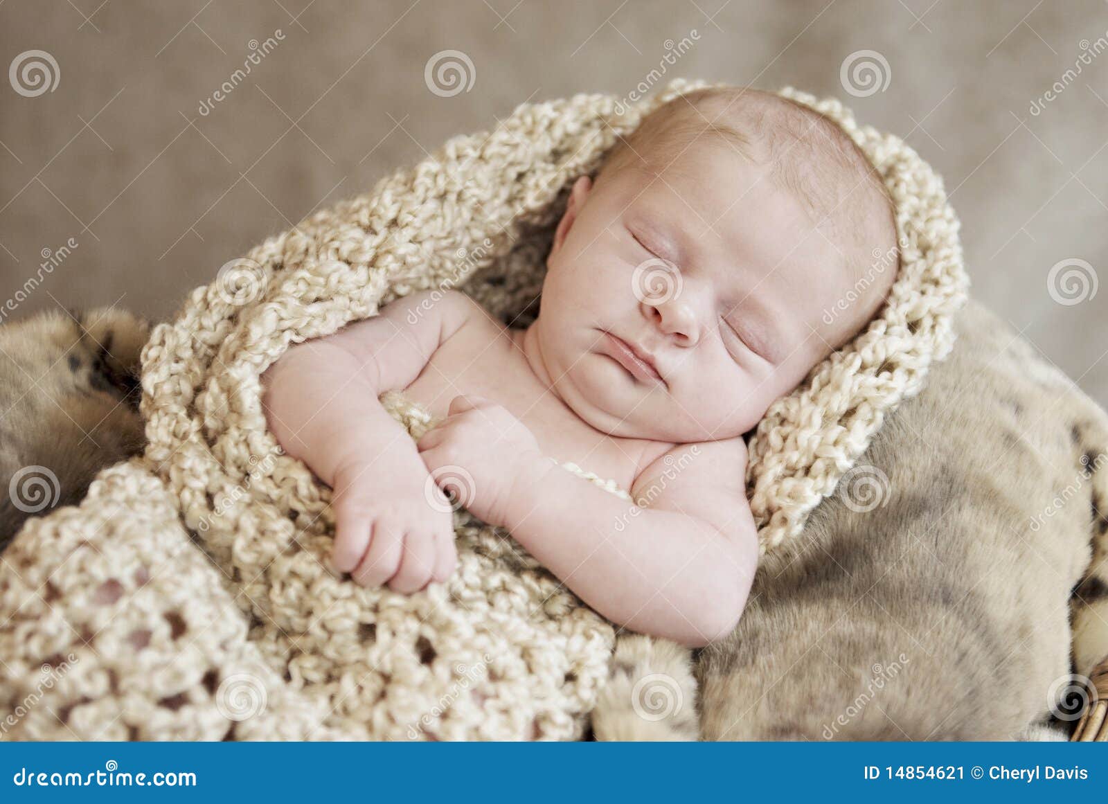 Sleeping Newborn Baby in Cocoon Stock Image - Image of baby, healthy ...