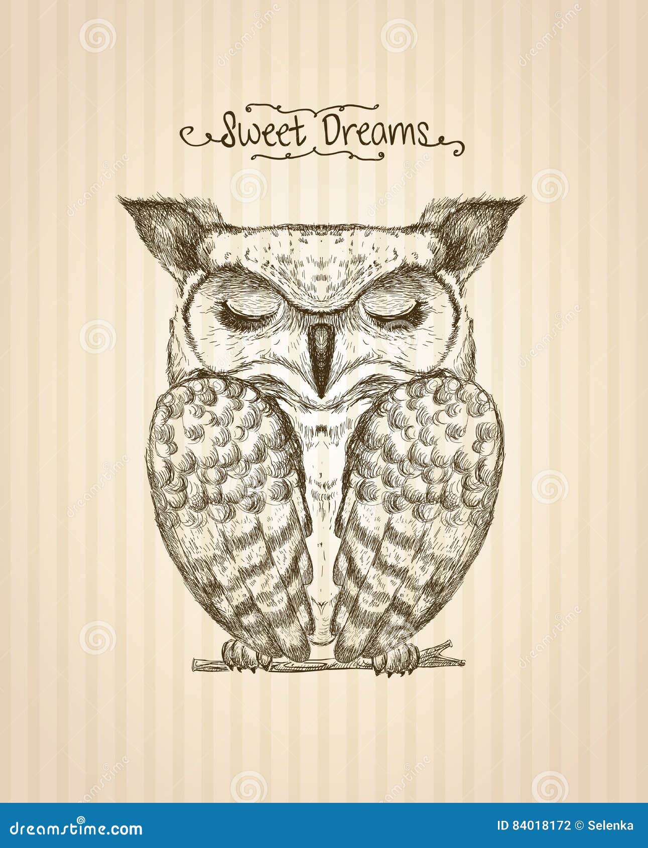 Sleeping Owl Hand Drawn Graphic Illustration, Front View Stock Vector ...