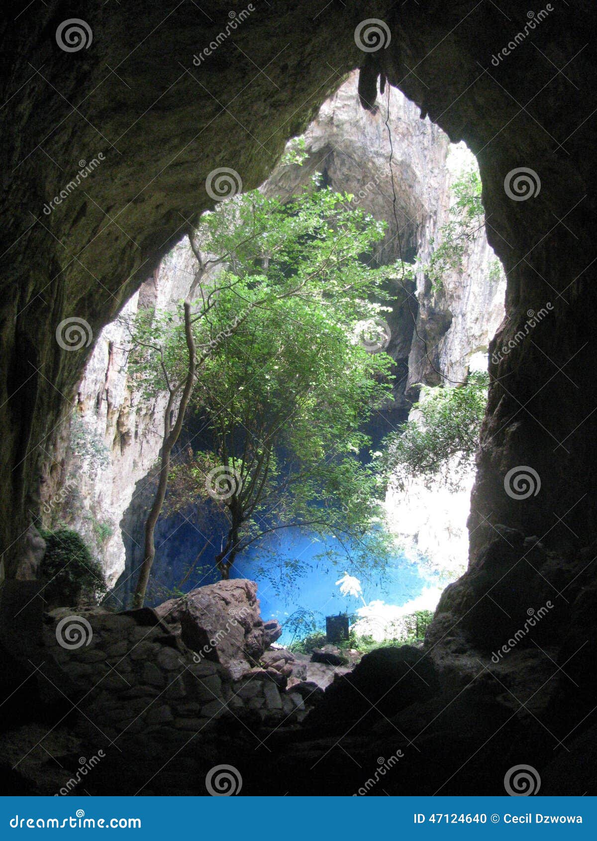 Sleeping Pool Inside the Chinhoyi Caves in Zimbabwe. Stock Photo ...