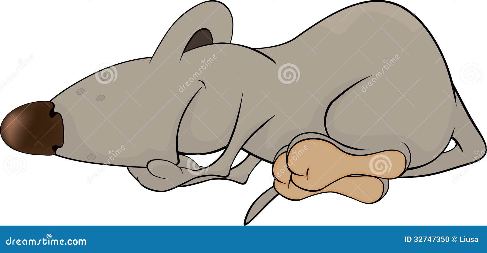Sleeping rats stock vector. Illustration of animal, fluffy - 32747350