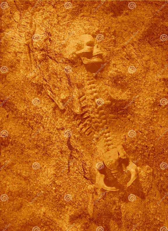 Sleeping Skeleton stock photo. Image of final, ancient - 10125526