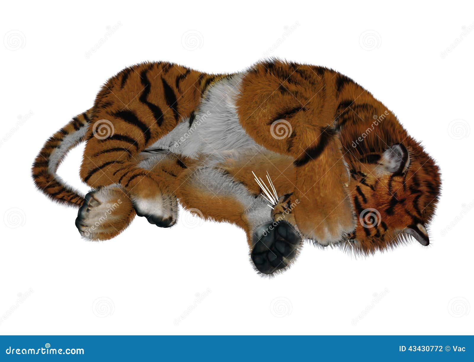 Sleeping Tiger Stock Illustrations – 731 Sleeping Tiger Stock ...