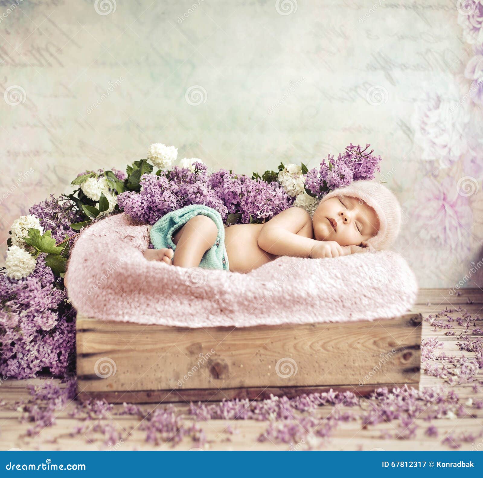 Sleeping Toddler Lying on Flowers and Blanket Stock Image - Image of ...