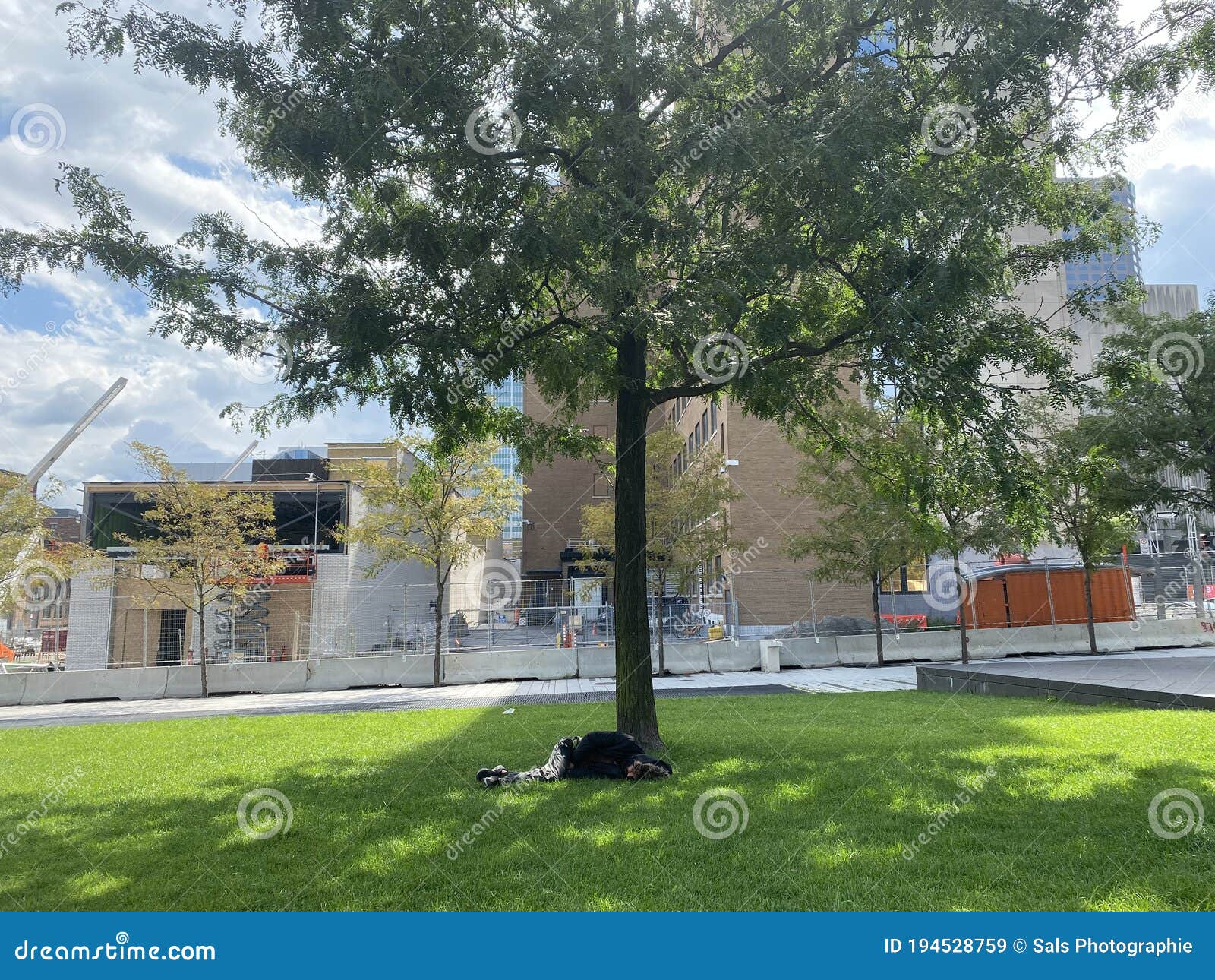 Sleeping Under the Tree in Solitude Editorial Stock Image - Image of ...