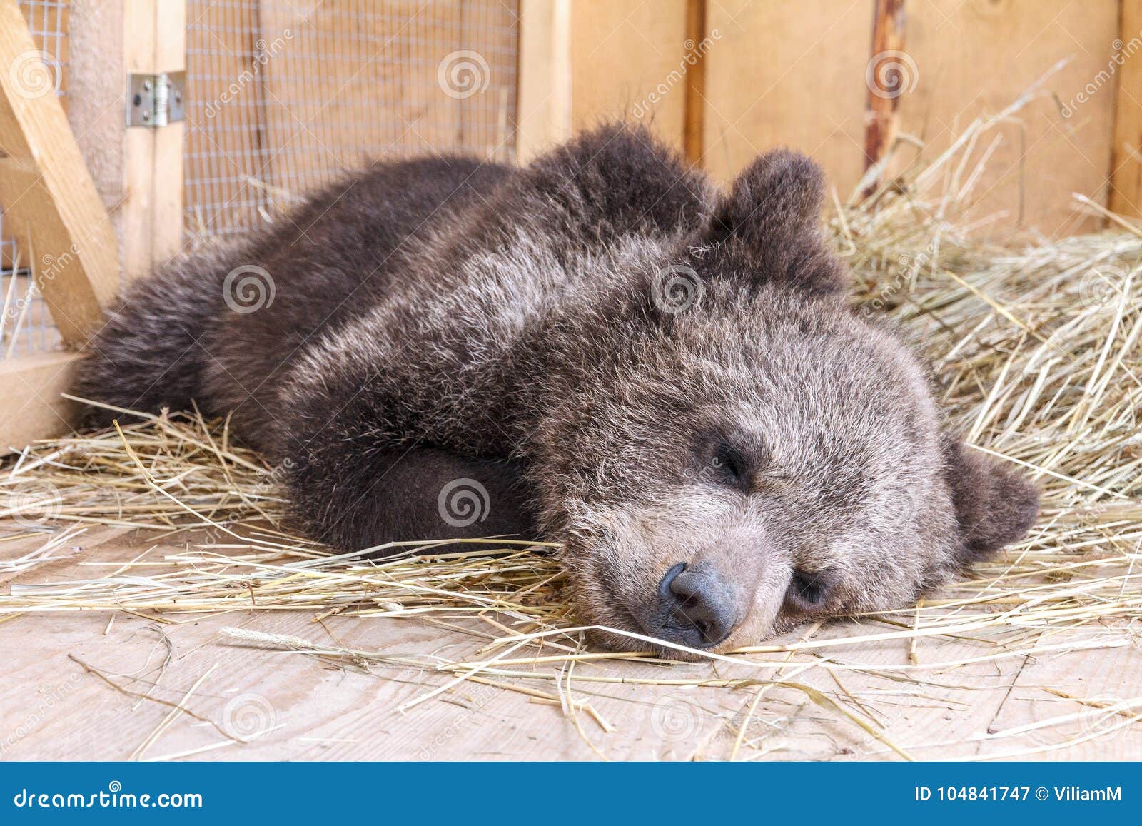 Sleeping Bear Dunes National Lakeshore Stock Photo | CartoonDealer.com ...