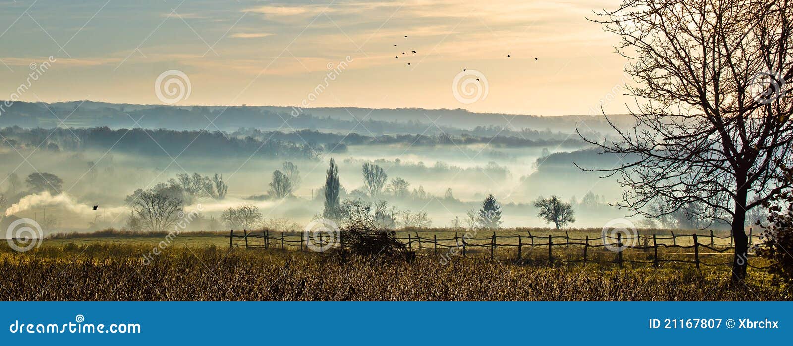 Sleepy Hollow - Mystical Valley in Fog Stock Image - Image of hollow ...