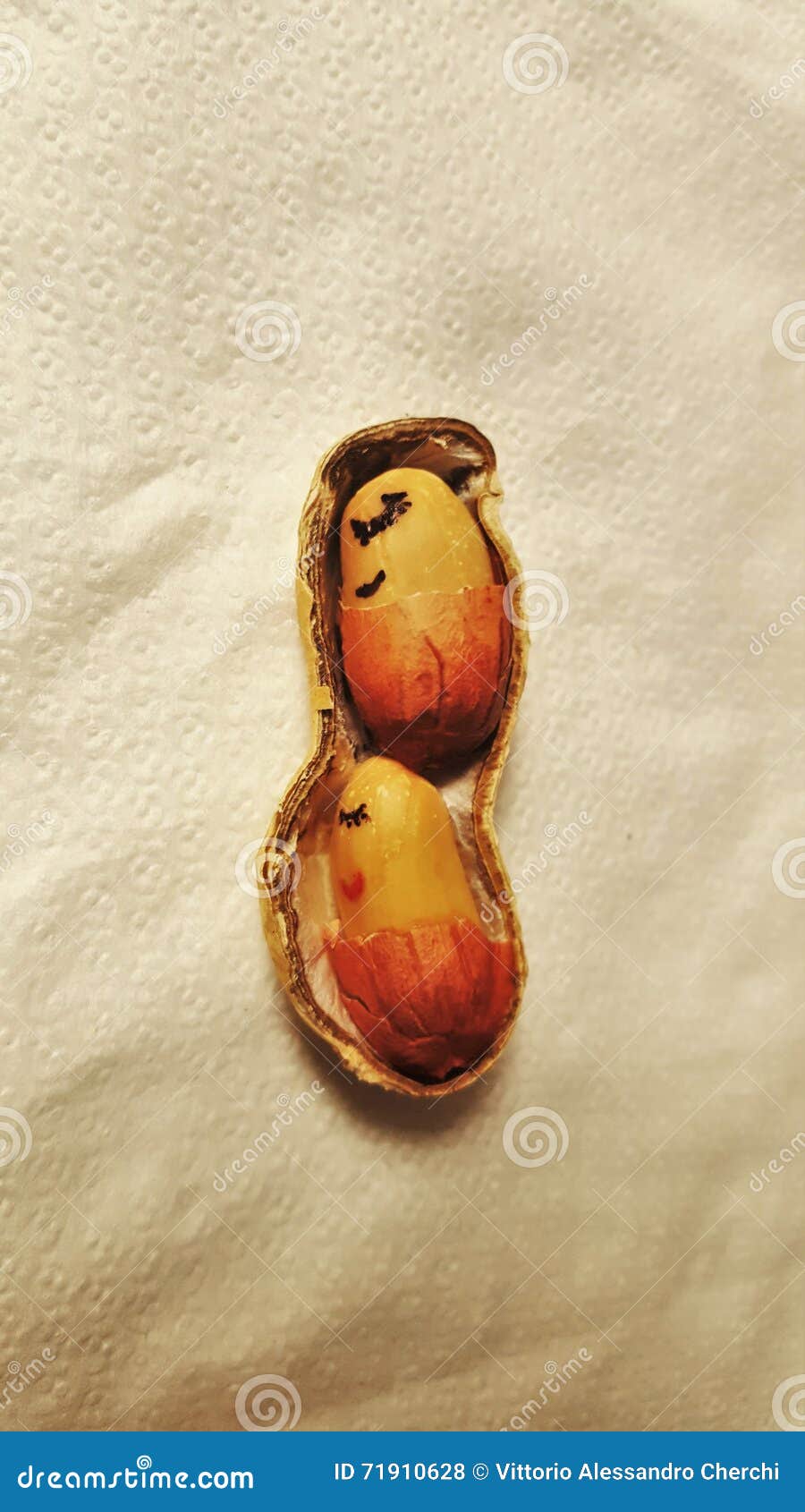 Sleepy peanuts stock photo. Image of mustard, culla, ciglia - 71910628