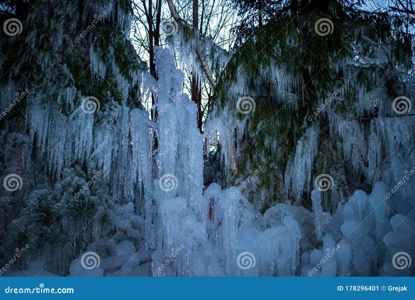 Sleet in winter forest stock image. Image of closeup - 178296401