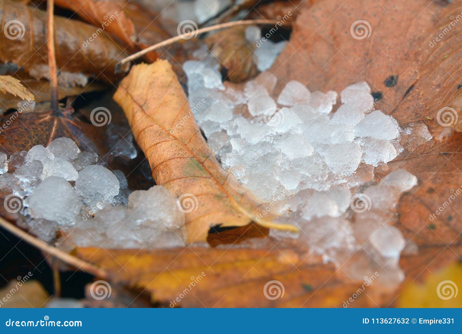 Sleet stock photo. Image of stone, climate, snowfall - 113627632