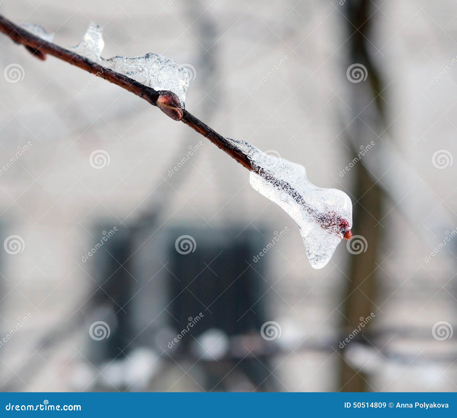 Sleet stock image. Image of phenomenon, rising, increasing - 50514809