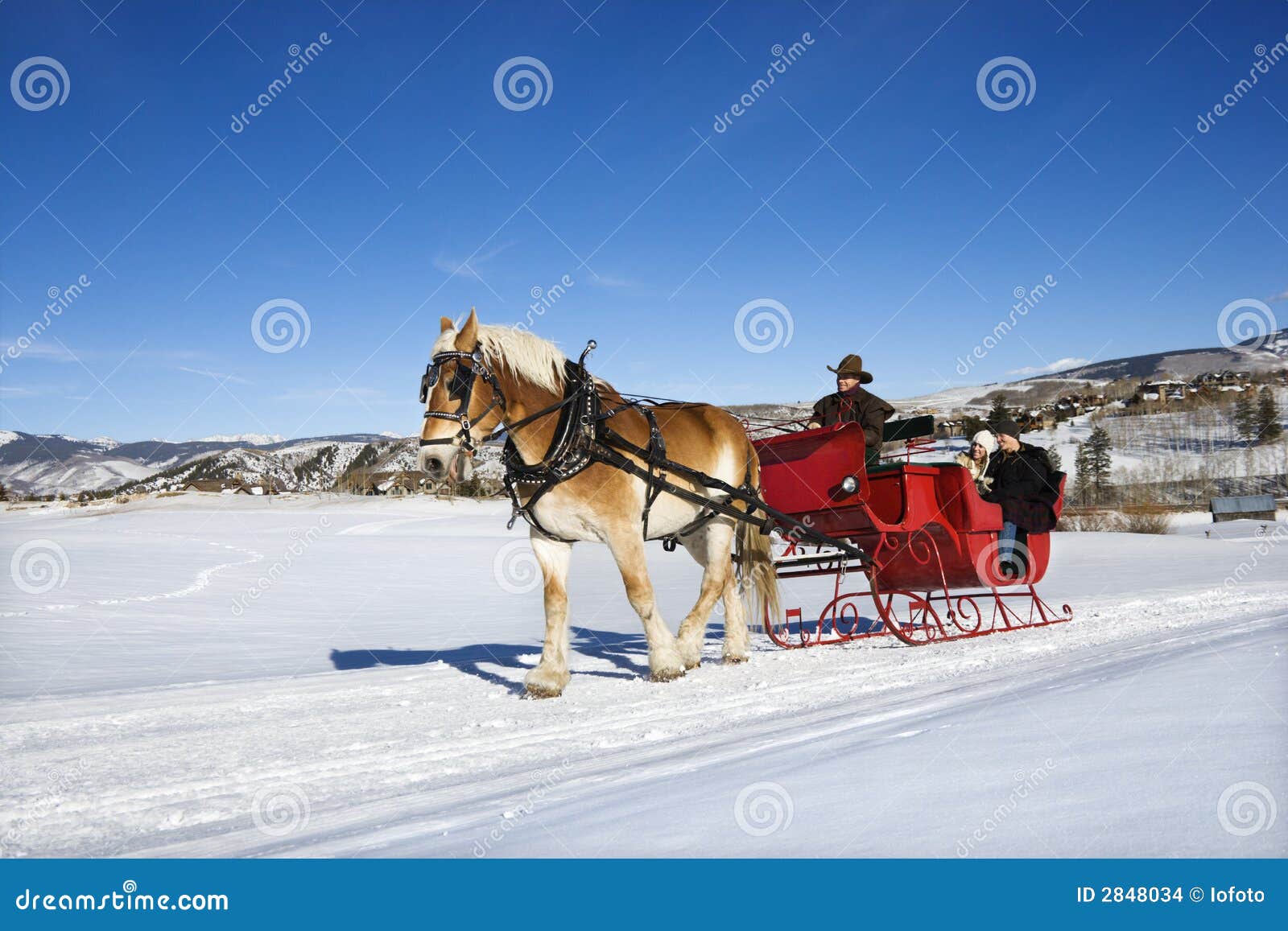 Sleigh ride. stock photo. Image of full, horizontal, recreation - 2848034