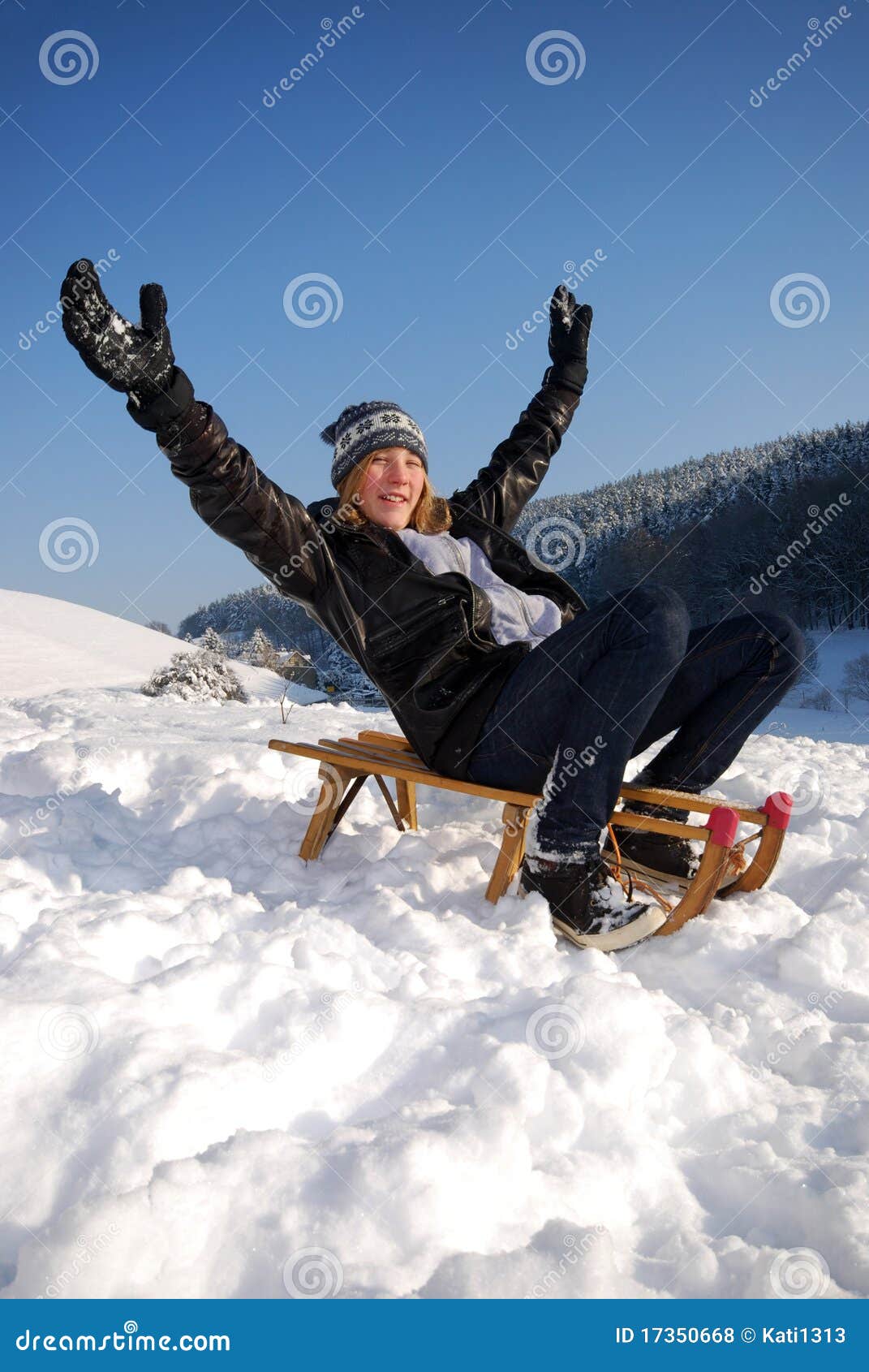 Sleighing stock photo. Image of happy, cheerful, sleighs - 17350668