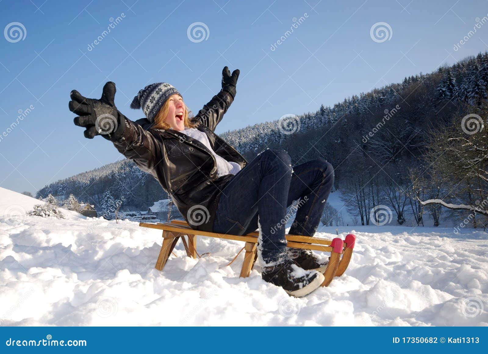 Sleighing stock photo. Image of daytime, sleigh, outdoors - 17350682