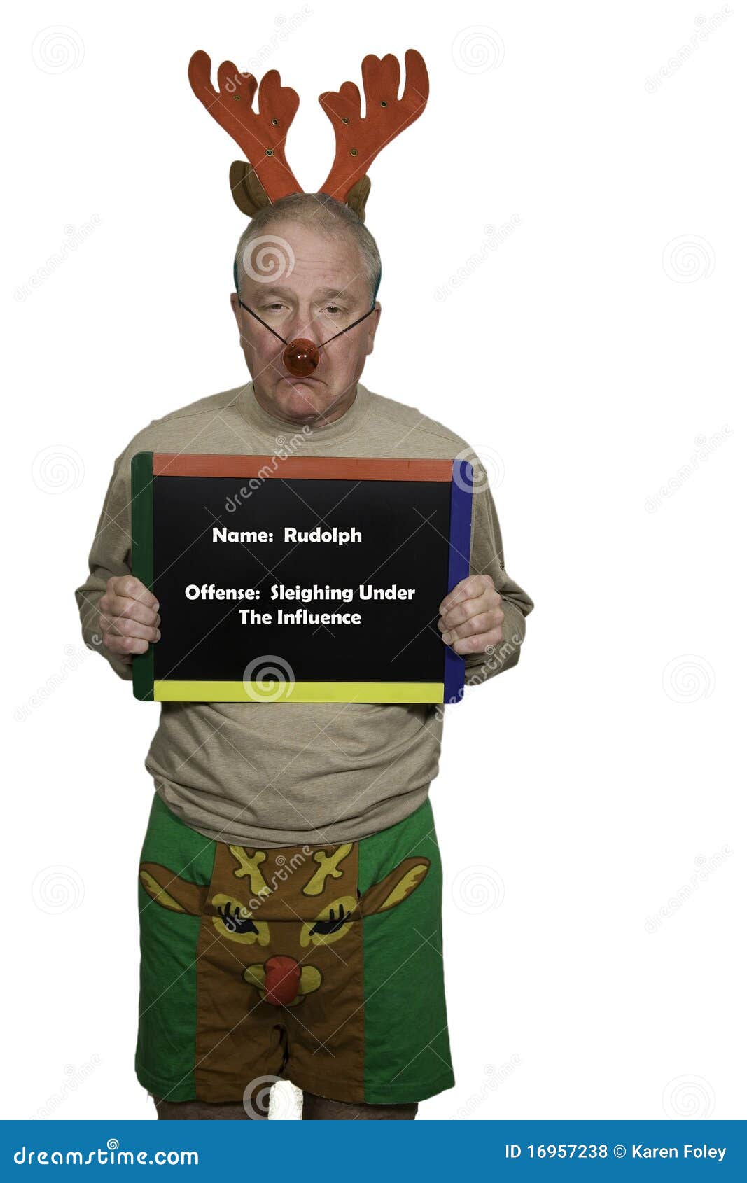 Sleighing Under the Influence Stock Photo - Image of flying, antlers ...