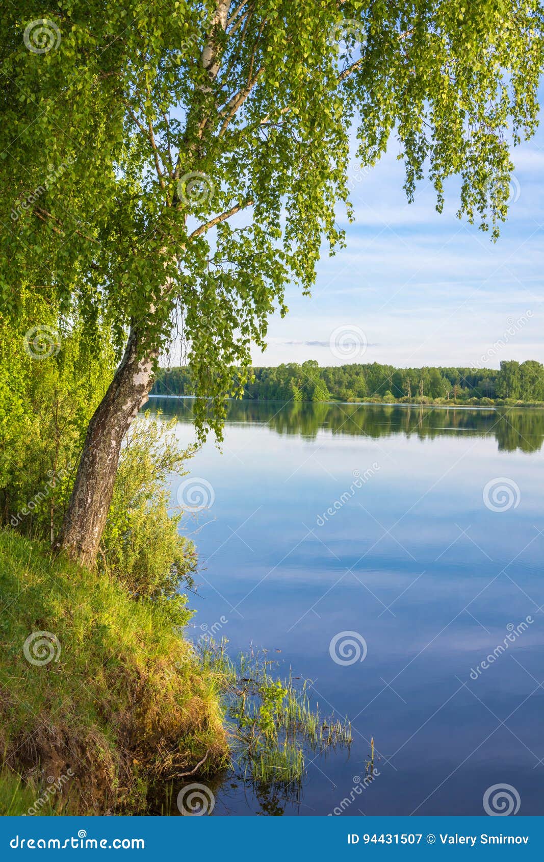 One Tree Standing On Top Of Mountain Of Saputara Range At Chikhaldara ...