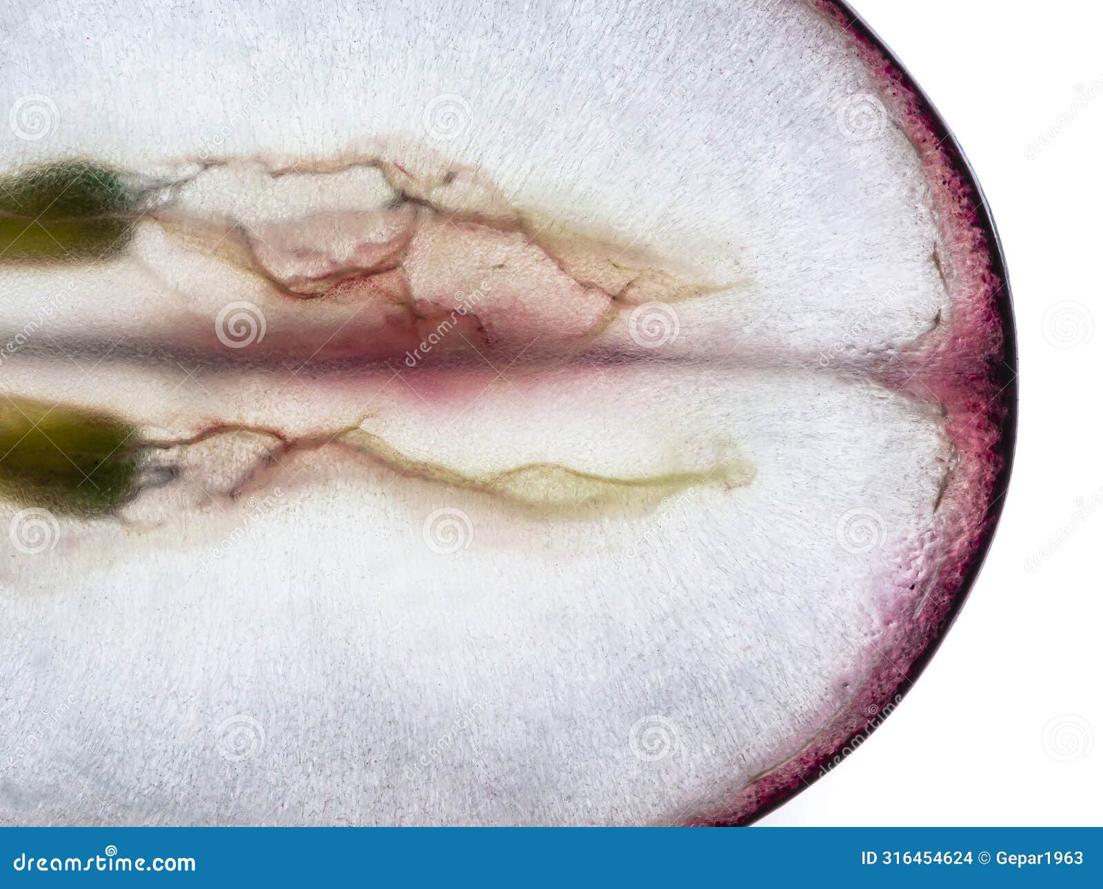 Slice of a Blue Grape, Macro. Isolated on White Background Stock Photo ...