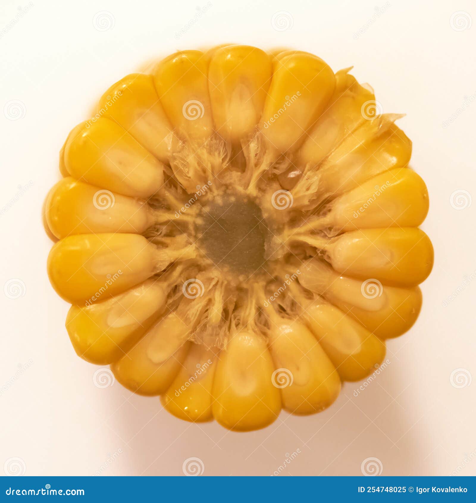 A Slice of Boiled Corn Lies in the Kitchen Cooking Stock Image - Image ...