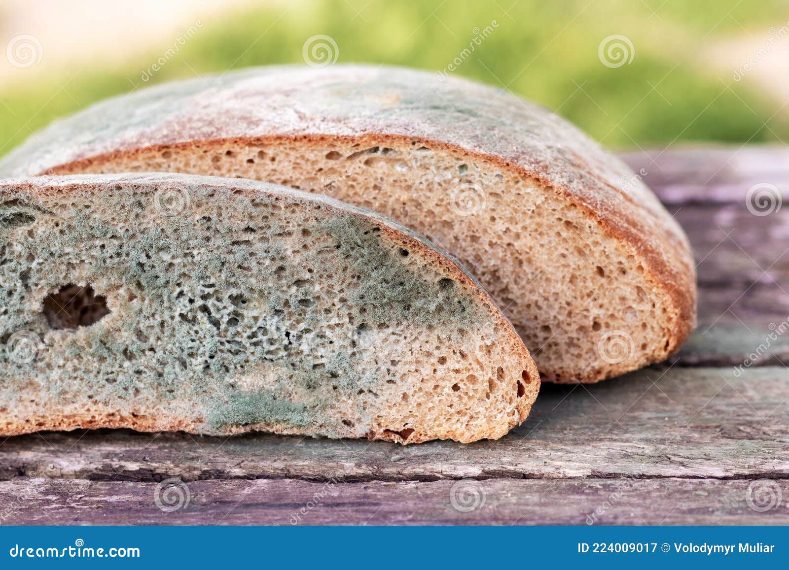 A Slice of Bread Covered with Mold on a Wooden Surface Stock Image ...
