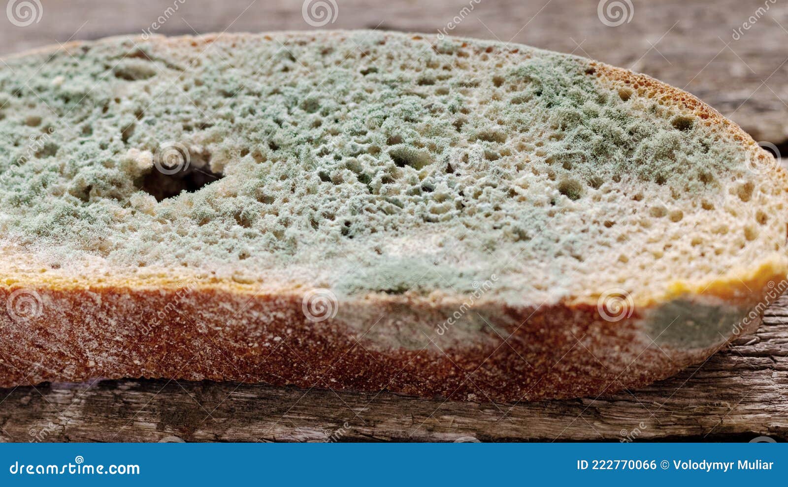 A Slice of Bread Covered with Mold on a Wooden Surface Stock Photo ...