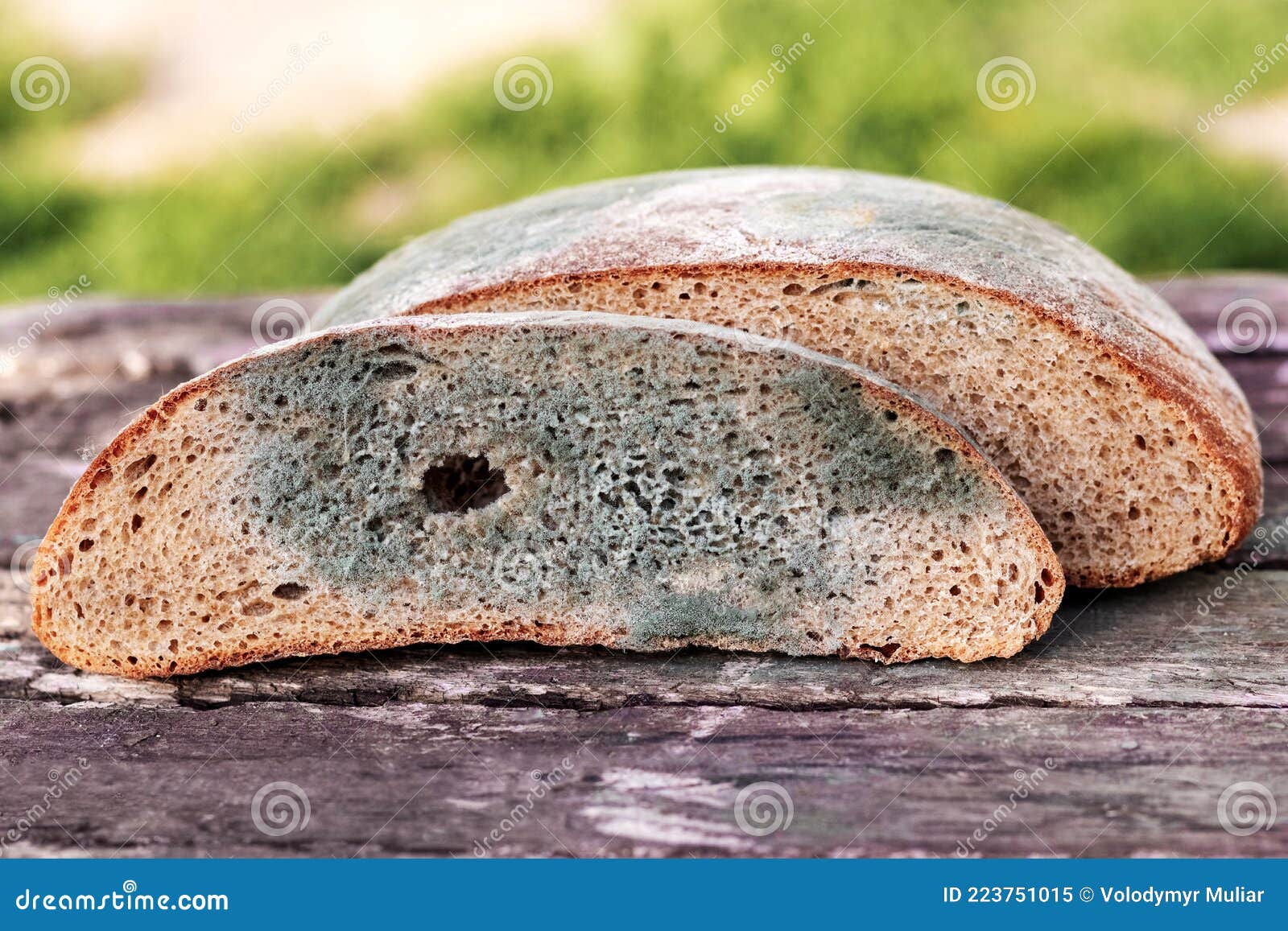 A Slice of Bread Covered with Mold on a Wooden Surface Stock Image ...