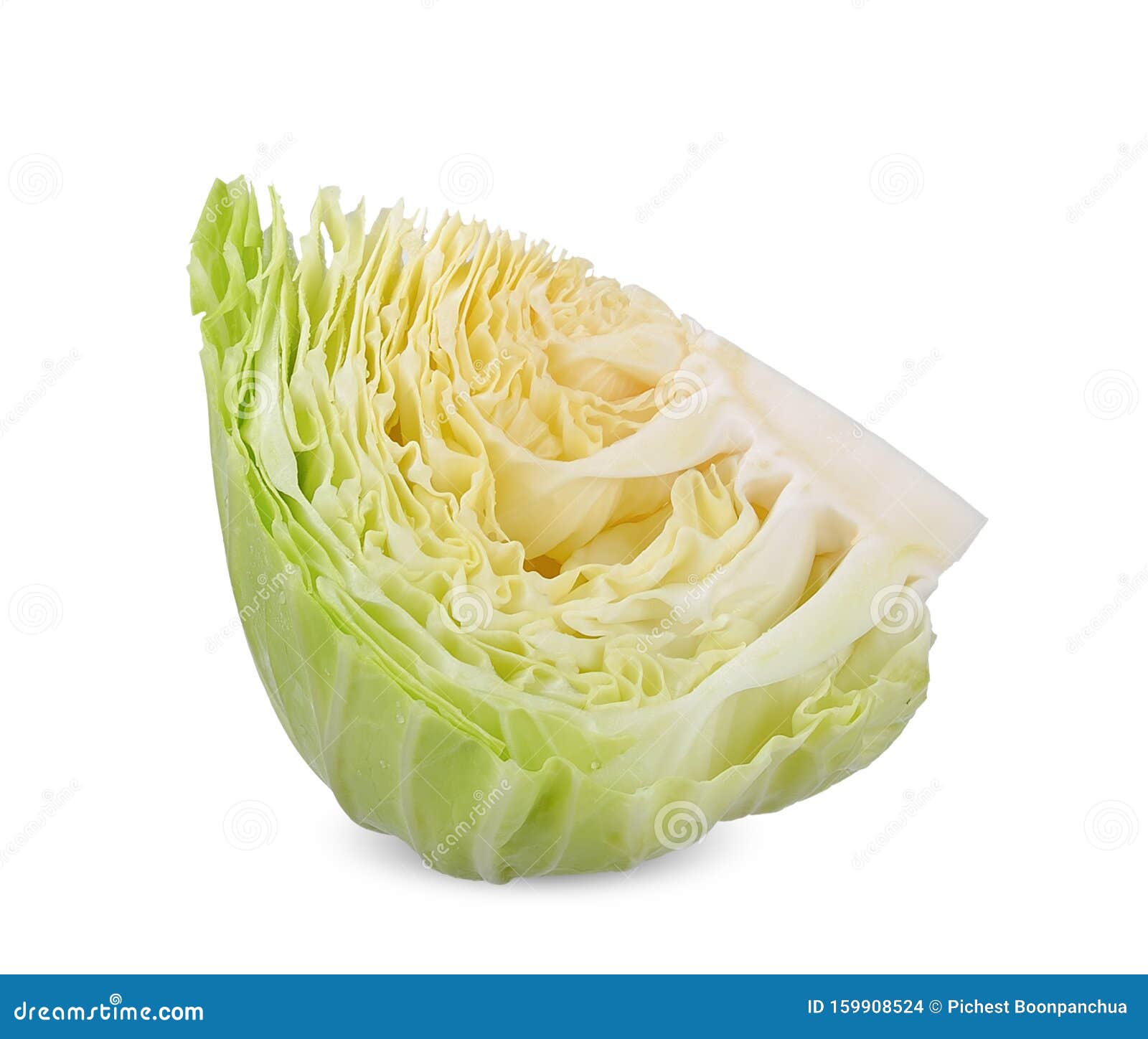 Slice Cabbage Isolated on White Clipping Path Stock Photo - Image of ...