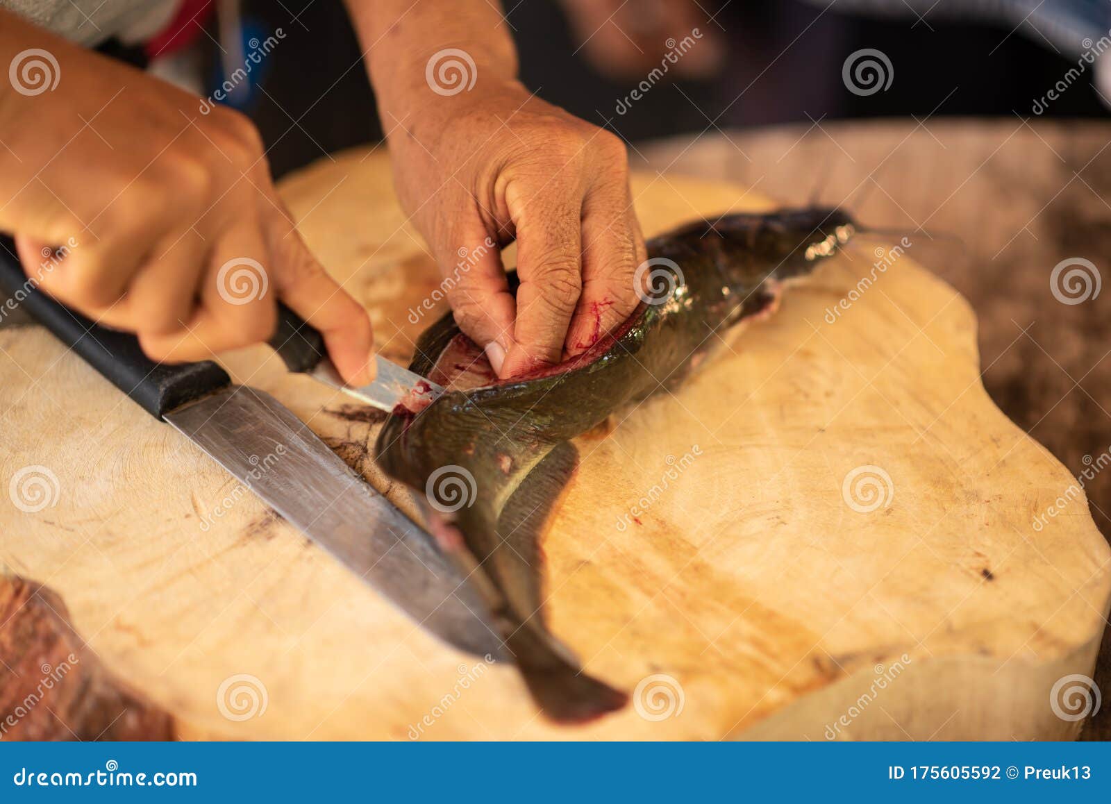 Slice catfish stock photo. Image of asian, nature, meal - 175605592